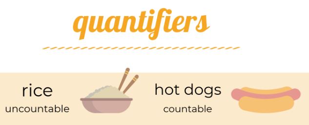 CUANTIFICADORES (A/AN, SOME, ANY, MUCH, MANY, A FEW, A LITTLE ...